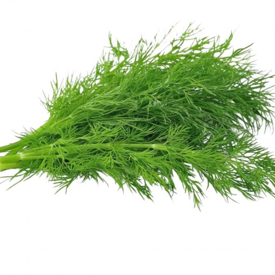 DILLE 30g